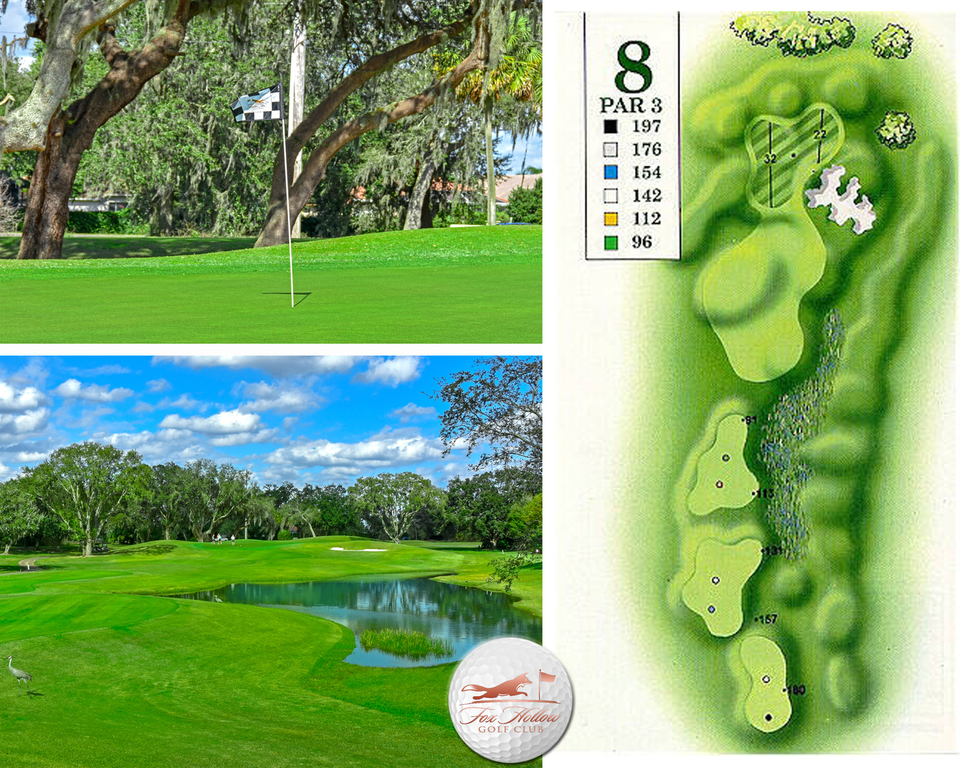 Hole Layout - Fox Hollow Golf Club (TPA)
