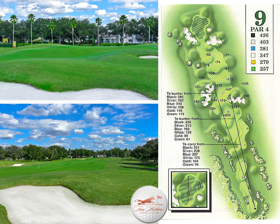 Hole Layout - Fox Hollow Golf Club (TPA)