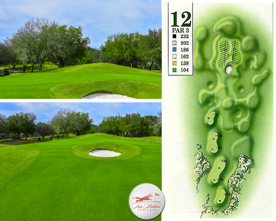 Hole Layout - Fox Hollow Golf Club (TPA)